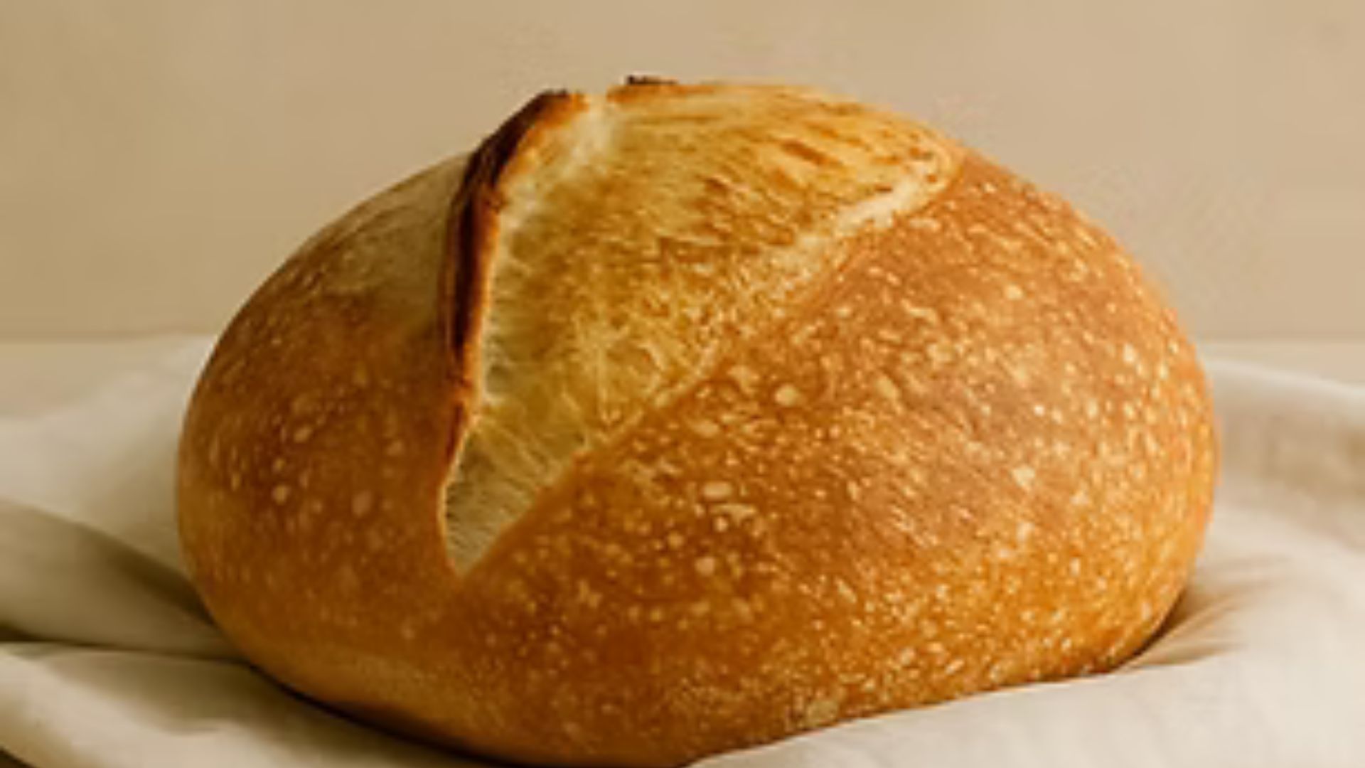 Que Bollo | 787-478-8916 San Germán